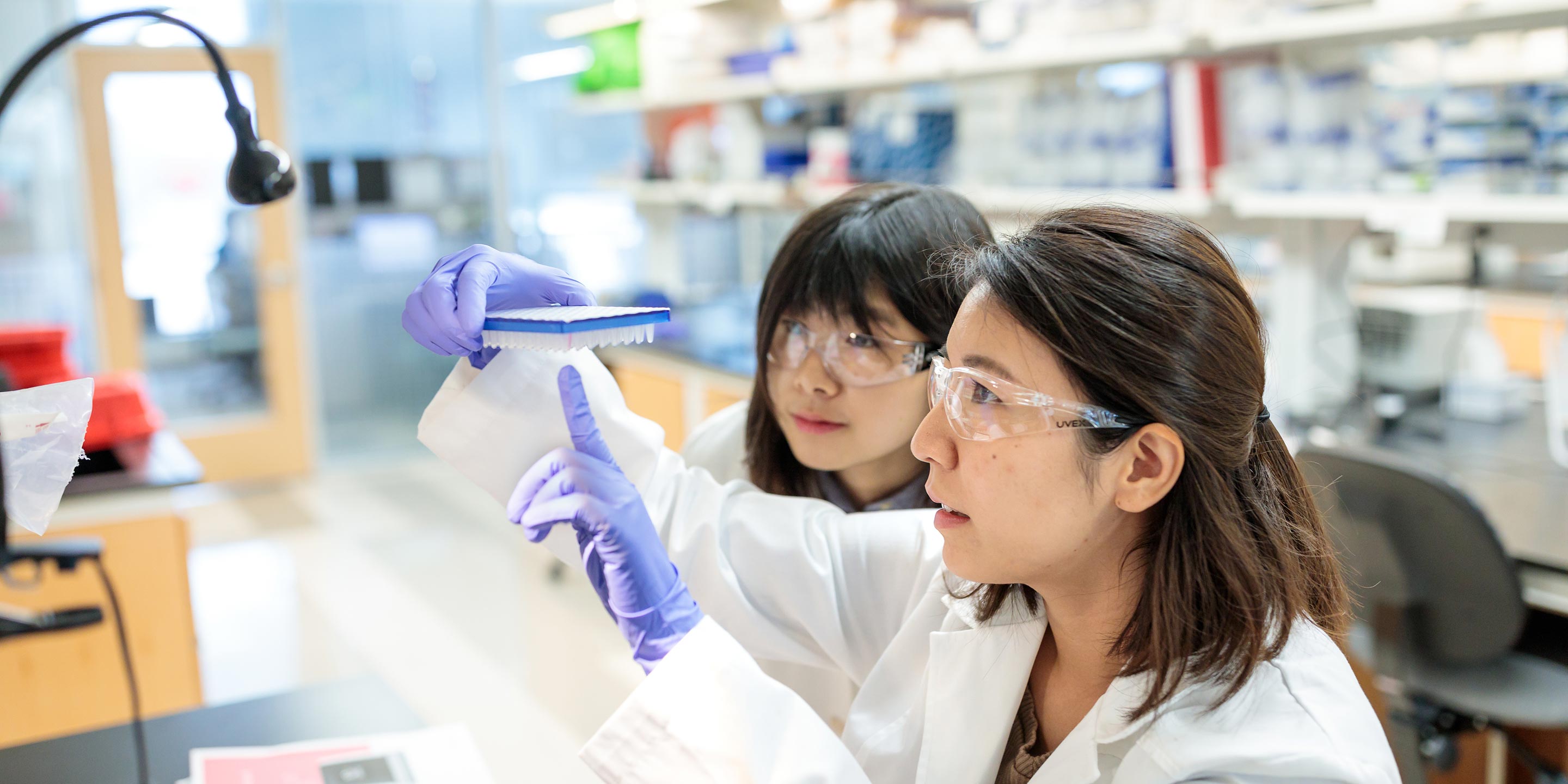 Medical Scientist Training Program (MSTP) | Academics